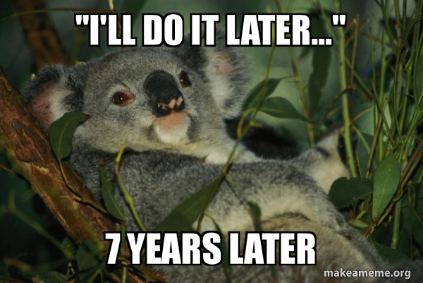 "I'll do it later..." 7 years later - Laid Back Koala Meme Generator