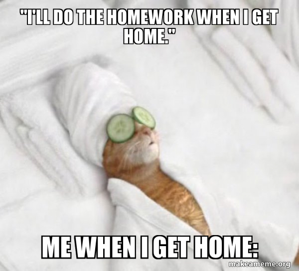 "I'll do the homework when I get home." Me when I get home: - Pampered ...