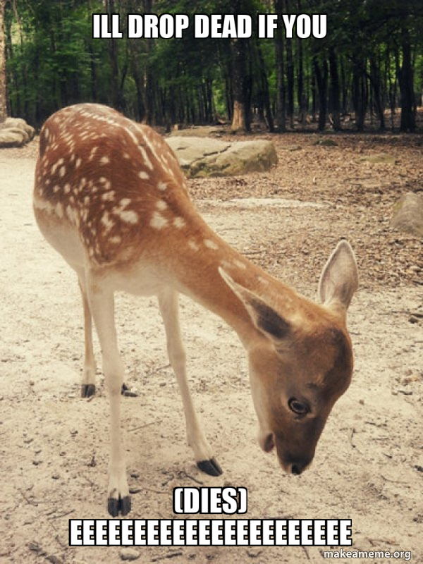 ill drop dead if you (DIES) EEEEEEEEEEEEEEEEEEEEEE - O M G Deer Meme ...