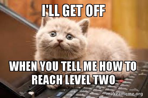I'll Get Off When You Tell Me How To Reach Level Two - Cat on Computer ...
