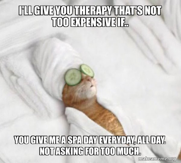 I'll give you therapy that's not too expensive if.. you give me a spa ...