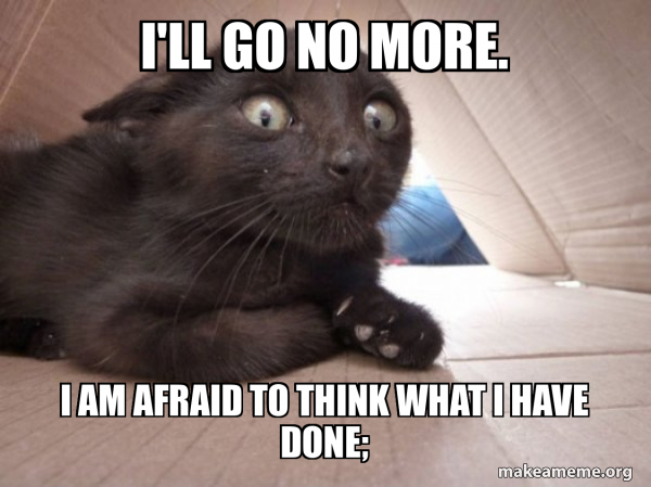 I'll go no more. I am afraid to think what I have done; - Schitzo Cat ...