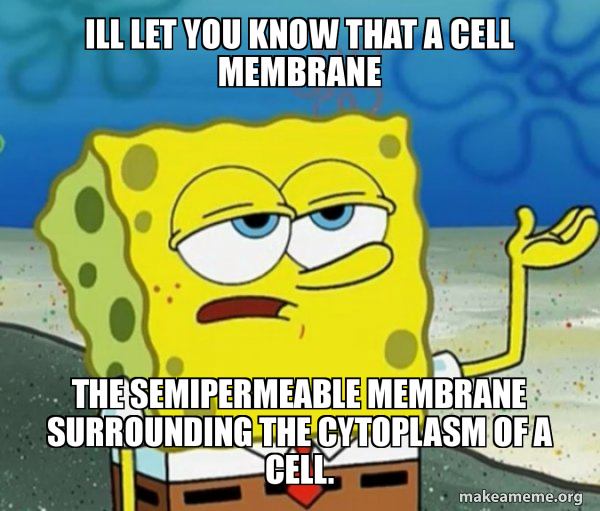 ill let you know that a cell membrane the semipermeable membrane ...