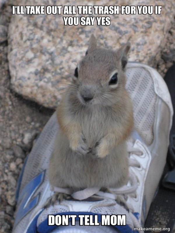 I’ll take out all the trash for you if you say yes Don’t tell mom ...