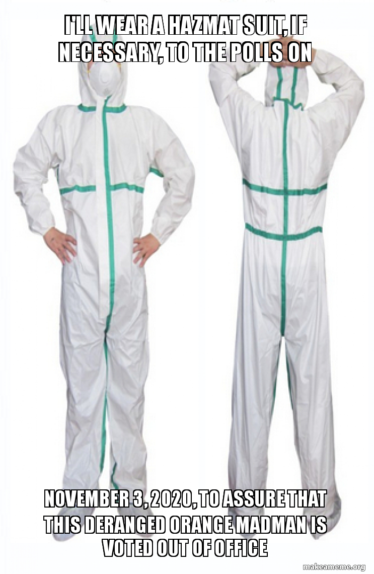 I'll wear a HAZMAT SUIT, if necessary, to the polls on November 3, 2020 ...