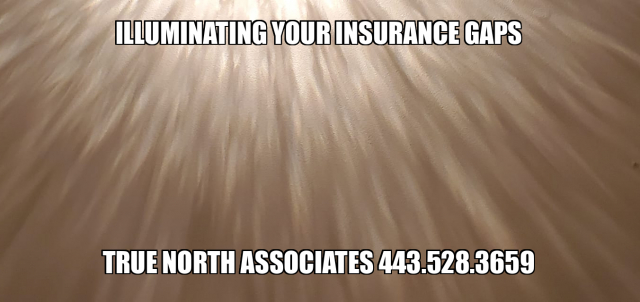 illuminating your insurance gaps true north associates 443.528.3659 ...