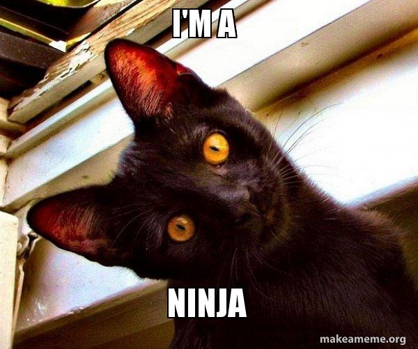 I'm a Ninja - Overly Attached Cat Meme Generator