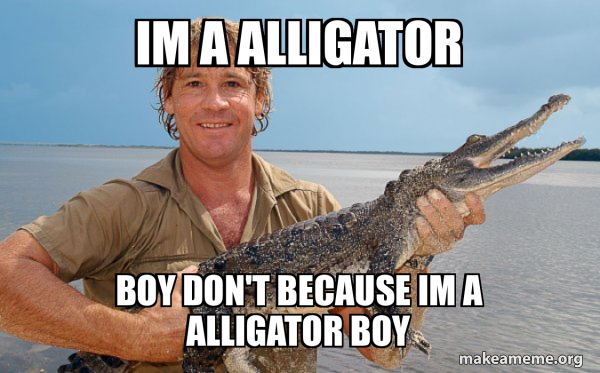 Im a Alligator Boy don't because Im a alligator boy - Steve irwin Meme ...