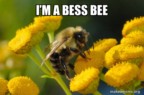 I’m a bess bee - Good Guy Bee Meme Generator