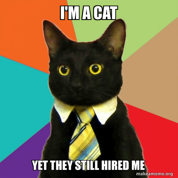i'm a cat yet they still hired me - Business Cat Meme Generator