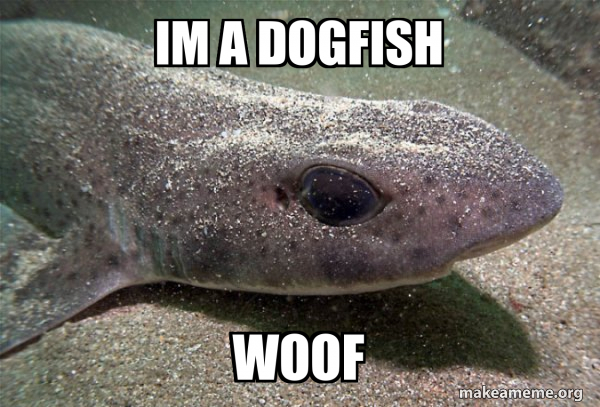 Im a Dogfish WOOF - Dirty Joke Dogfish Meme Generator