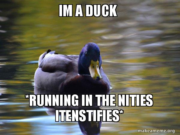 IM A DUCK *RUNNING IN THE NITIES ITENSTIFIES* - Zen Advice Mallard Meme ...