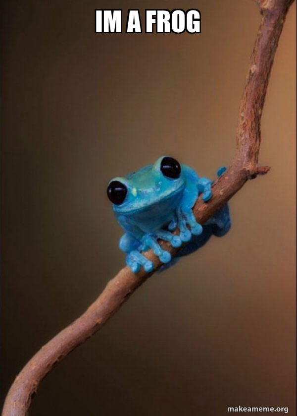 Im a frog - Small Fact Frog Meme Generator