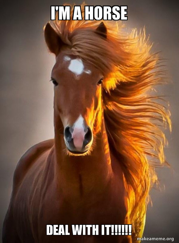 I'm a Horse Deal with it!!!!!! - Ridiculously photogenic horse Meme ...
