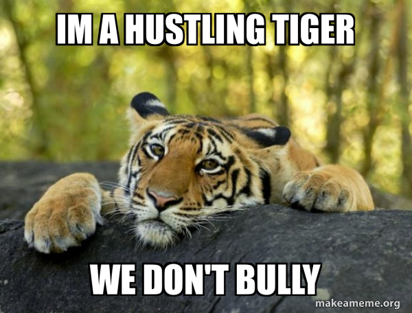 im a hustling tiger we don't bully - Confession Tiger Meme Generator