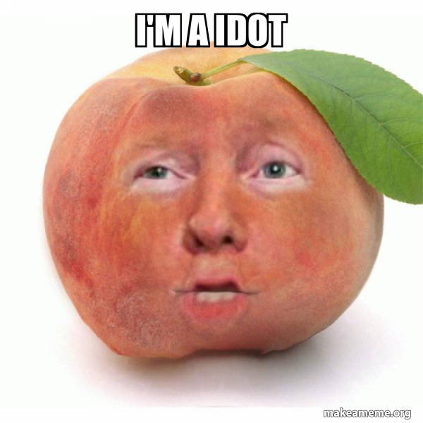 I'm a idot - Impeached Donald Trump Meme Generator