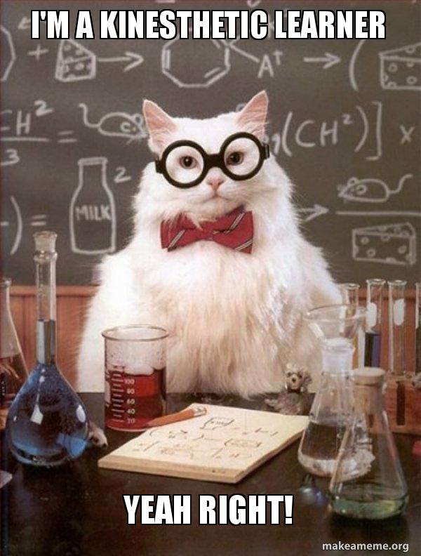 I'm a kinesthetic learner Yeah right! - Chemistry Cat Meme Generator