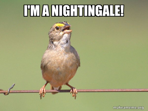 I'm a nightingale! - Common Opinion Sparrow Meme Generator
