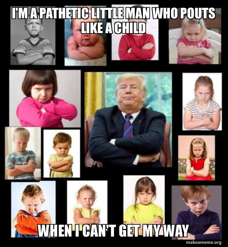 i'm a pathetic little man who pouts like a child when I can't get my ...