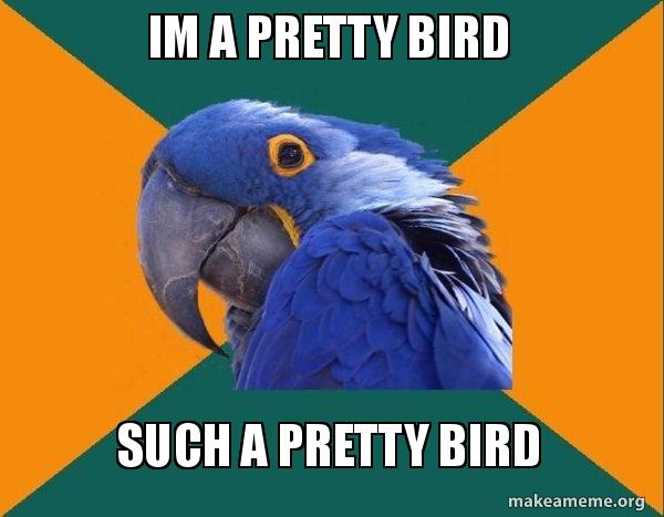 Paranoid Parrot Meme