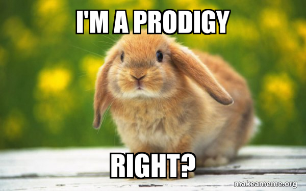 I'm a prodigy right? - Regretful Rabbit Meme Generator