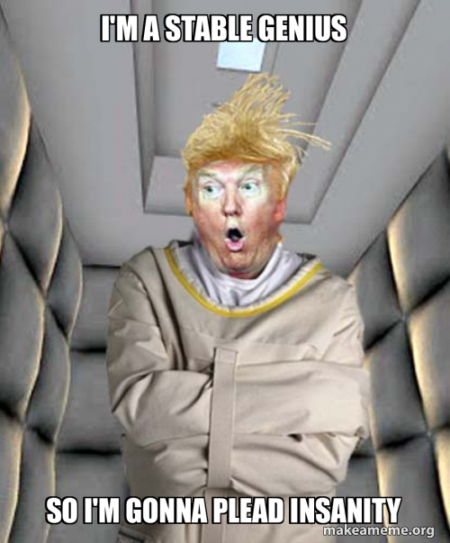 I'm a stable genius so I'm gonna plead insanity Meme Generator