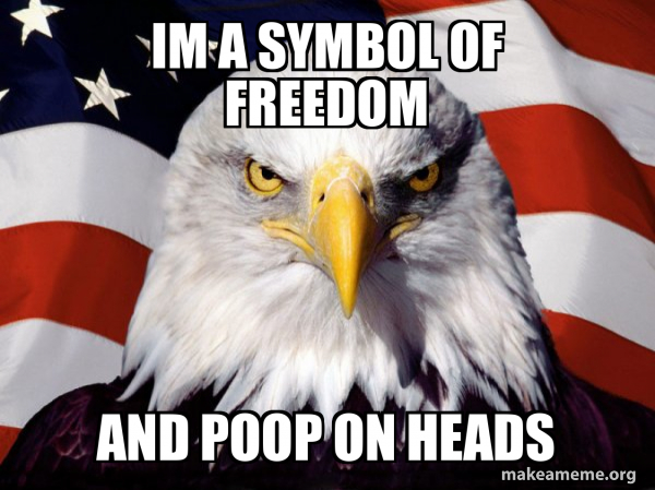 im a symbol of freedom and poop on heads - American Pride Eagle Meme ...