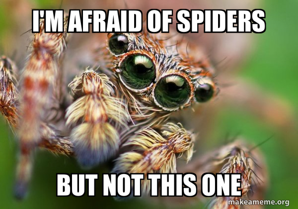 I'm afraid of spiders But not this one - Hipster Spider Meme Generator