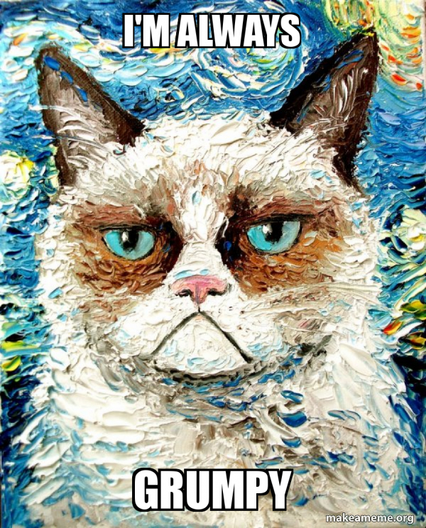 I'M ALWAYS GRUMPY - Vincent Van No - Grumpy Cat | Make a Meme