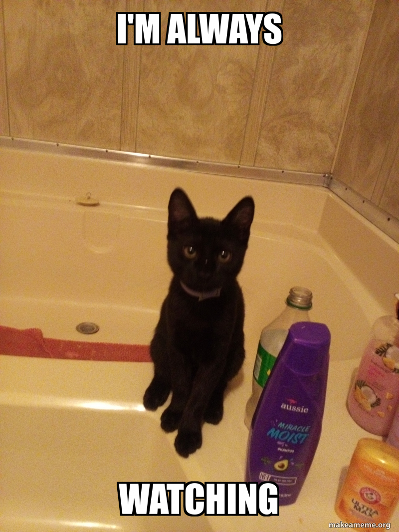 I'm Always Watching Meme Generator