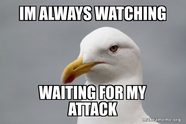 im always watching waiting for my attack - Stuff That Didn't Happen ...