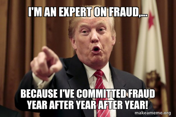 i'm an expert on fraud,... because i've committed fraud year after year ...