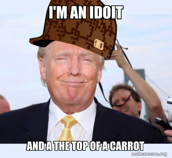 I'm an IDOIT AnD A tHe ToP oF a CaRrOt - Scumbag Donald Trump Meme ...