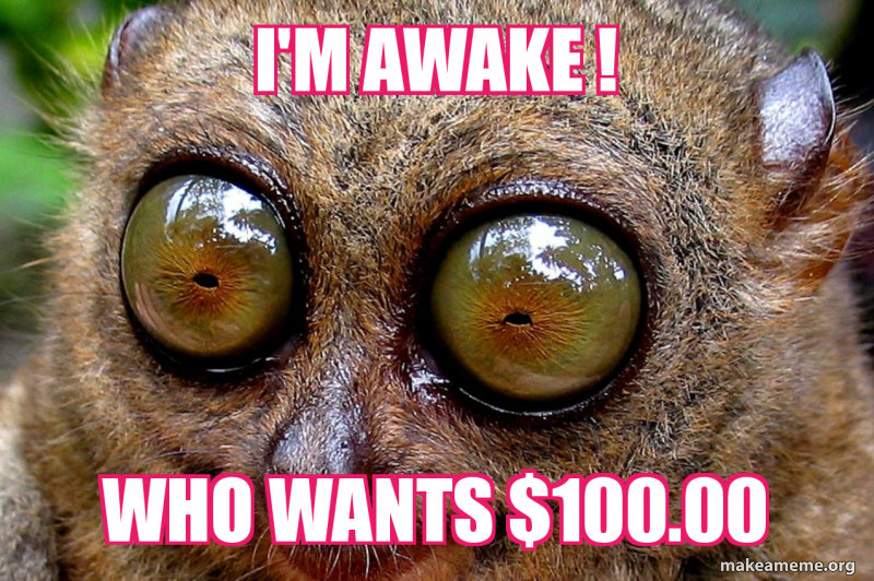 I'm awake ! who wants $100.00 Meme Generator