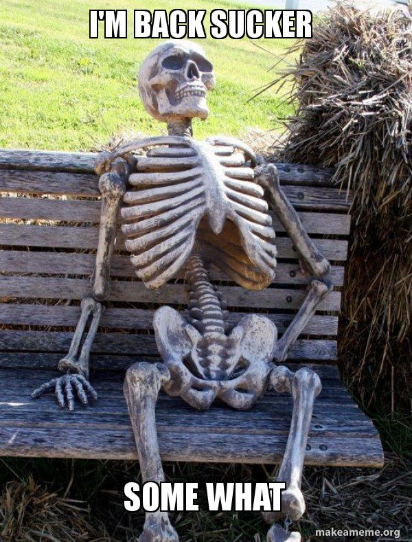 i'm back sucker some what - Waiting Skeleton Meme Generator