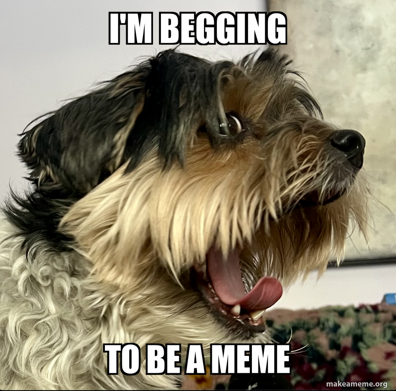 I'm begging to be a meme Meme Generator