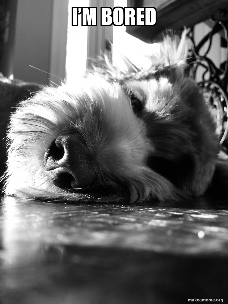 I’m bored Meme Generator