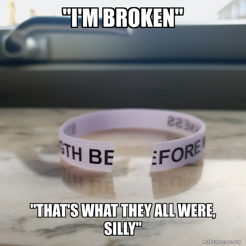 "I'm BROKEN" "That's what they all were, silly" Meme Generator