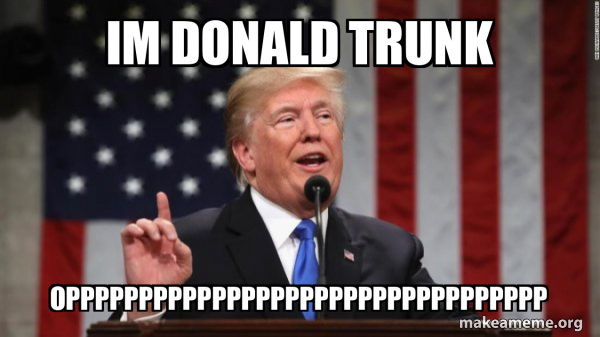 IM DONaLD TRunk oppppppppppppppppppppppppppppppppp - Donald Trump Meme ...