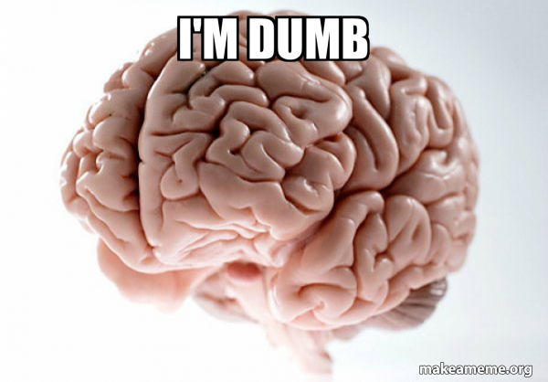 i'm dumb - Scumbag Brain Meme Generator