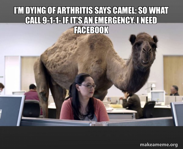 I’m dying of arthritis says camel; so what call 9-1-1- if it’s an ...