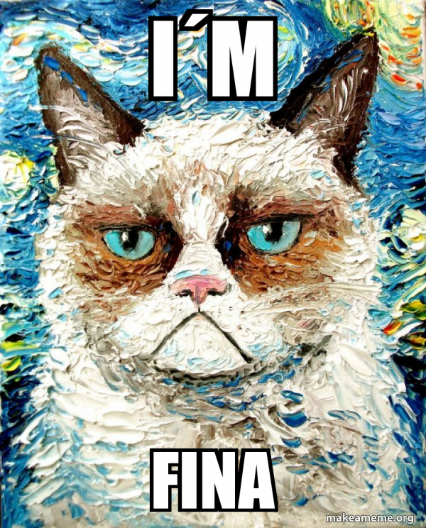 I´M FINA - Vincent Van No - Grumpy Cat Meme Generator
