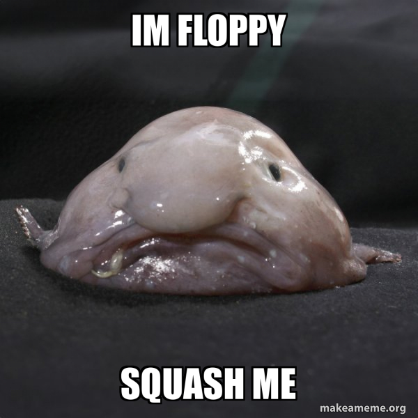 IM FLOPPY SQUASH ME - Blobfish Meme Generator
