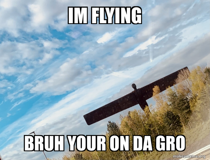 Im flying Bruh your on da gro Meme Generator