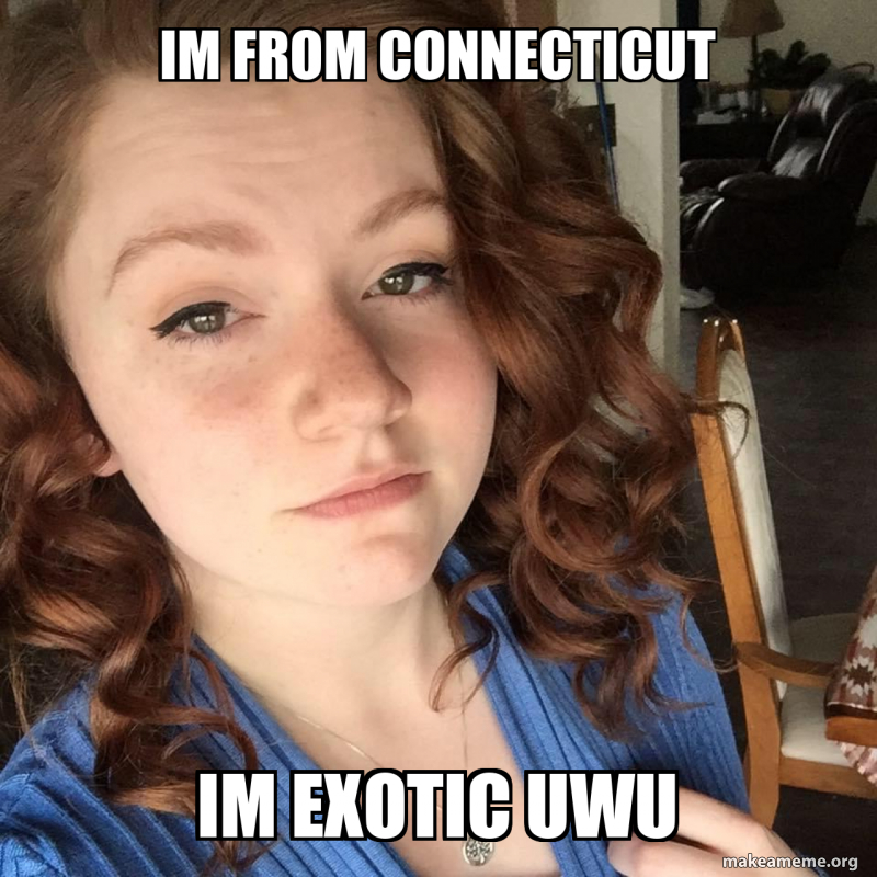 Im from connecticut Im exotic uWu Meme Generator