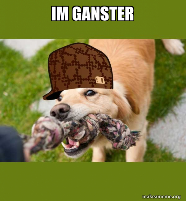 Im ganster - Scumbag dog Meme Generator
