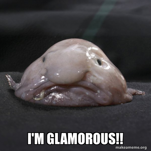 I'm glamorous!! - Blobfish Meme Generator