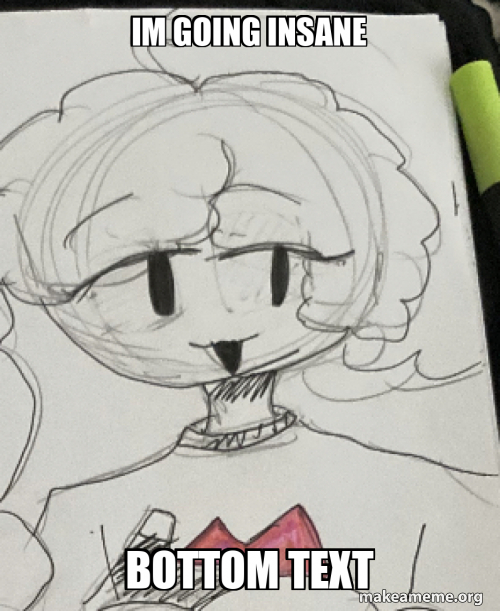im going insane Bottom text Meme Generator