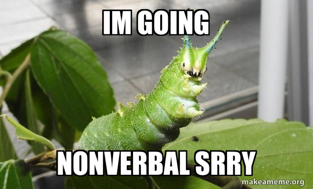 Im going Nonverbal srry Meme Generator