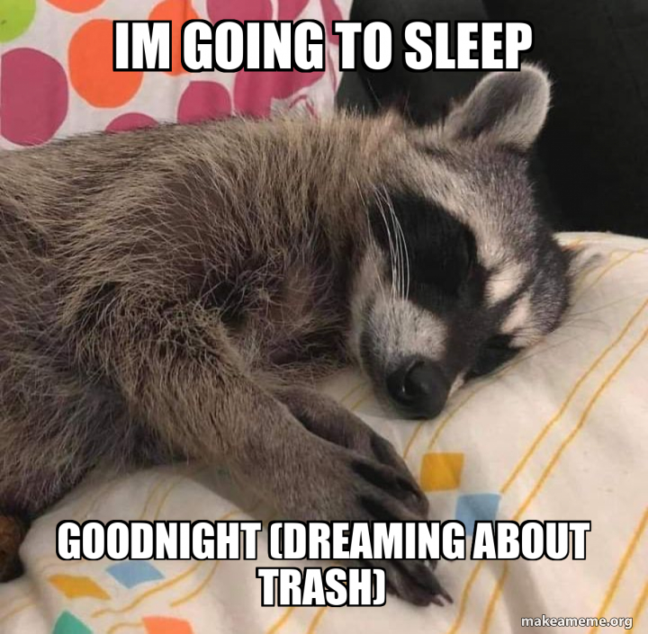 im going to sleep goodnight (dreaming about trash) Meme Generator